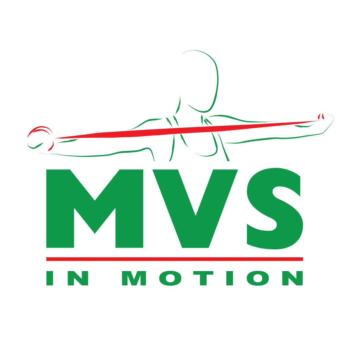 MVS in motion - Tendim