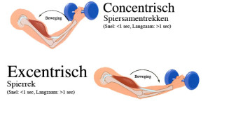 De 5 voordelen van excentrisch trainen - Tendim